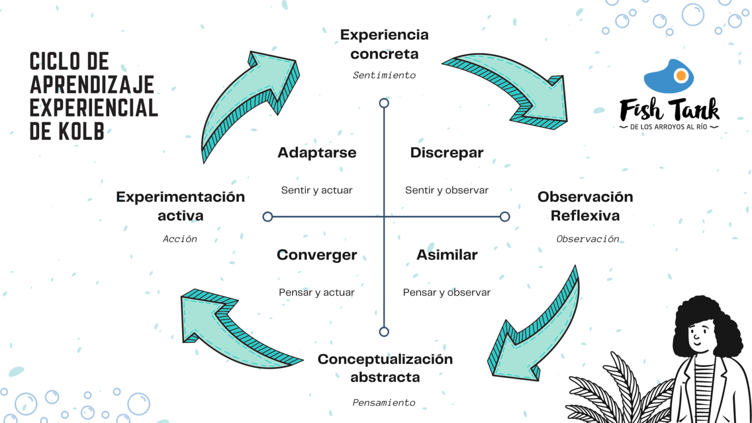 Ciclo de aprendizaje experiencial de Kolb - Todas las herramientas Fish Tank